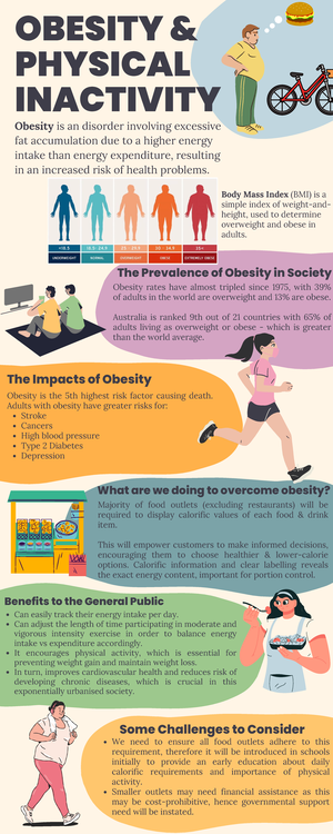 Final Assessment Infographic Rubric - Health Challenges: Physical ...