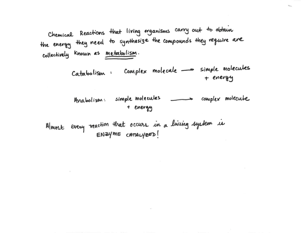 CHE.232.AB Lecture 26 4 - CHE 232 - Studocu