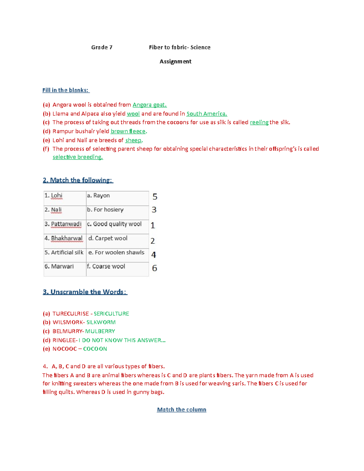 Grade 7 - fibre to fabric - Assignment - Grade 7 Fiber to fabric ...
