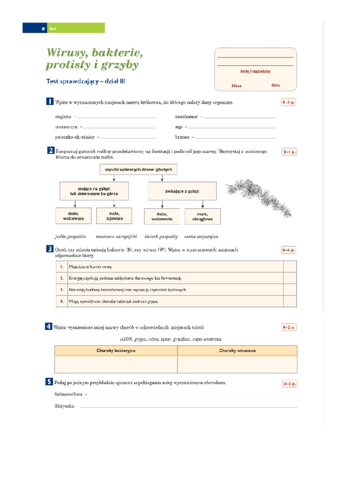 Biologia kl 5 wirusy, bakterie, protisty, grzyby B - Test Wirusy ...