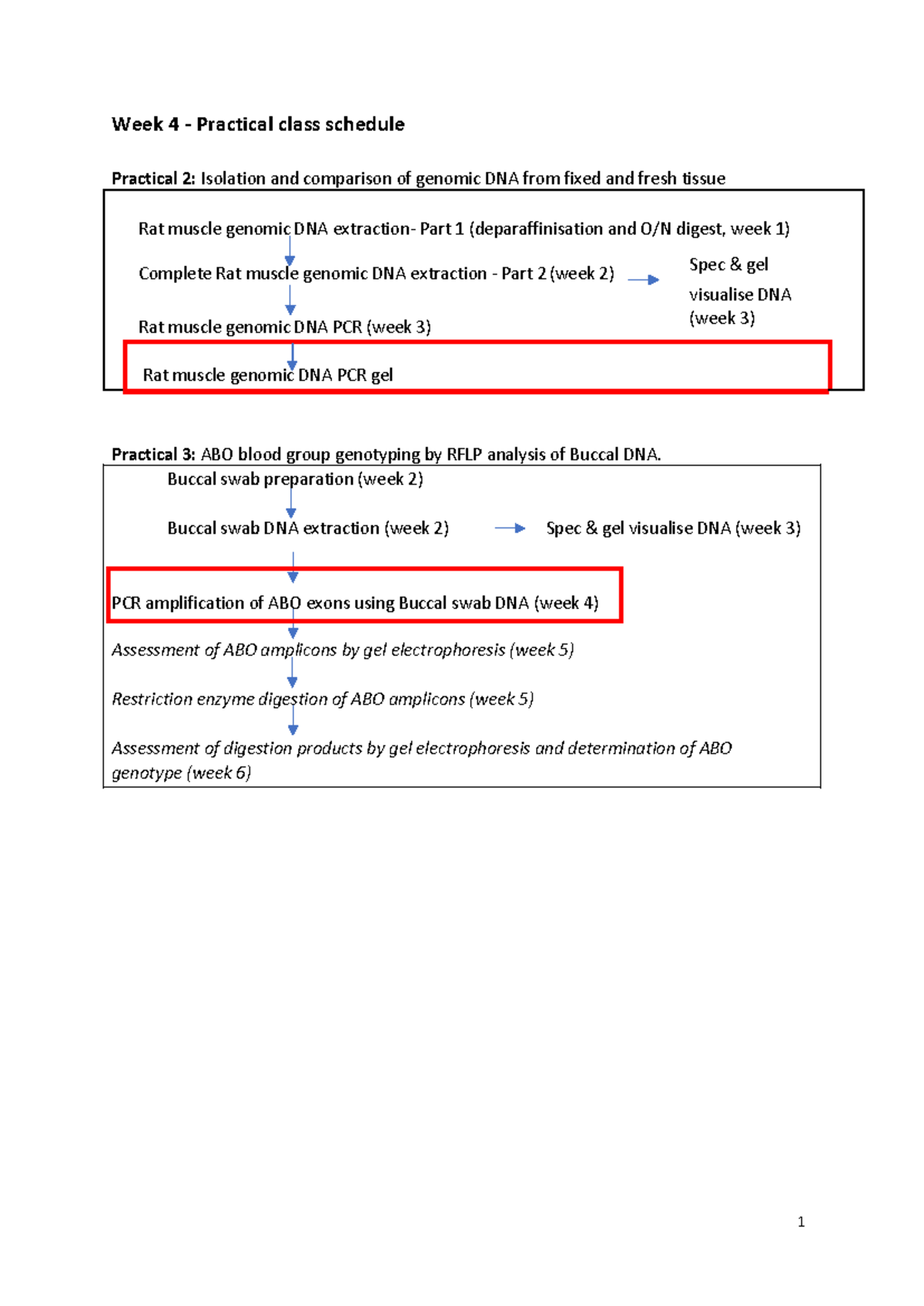 BMS327 Week 4 Student lab protocol 2023 - Week 4 - Practical class ...