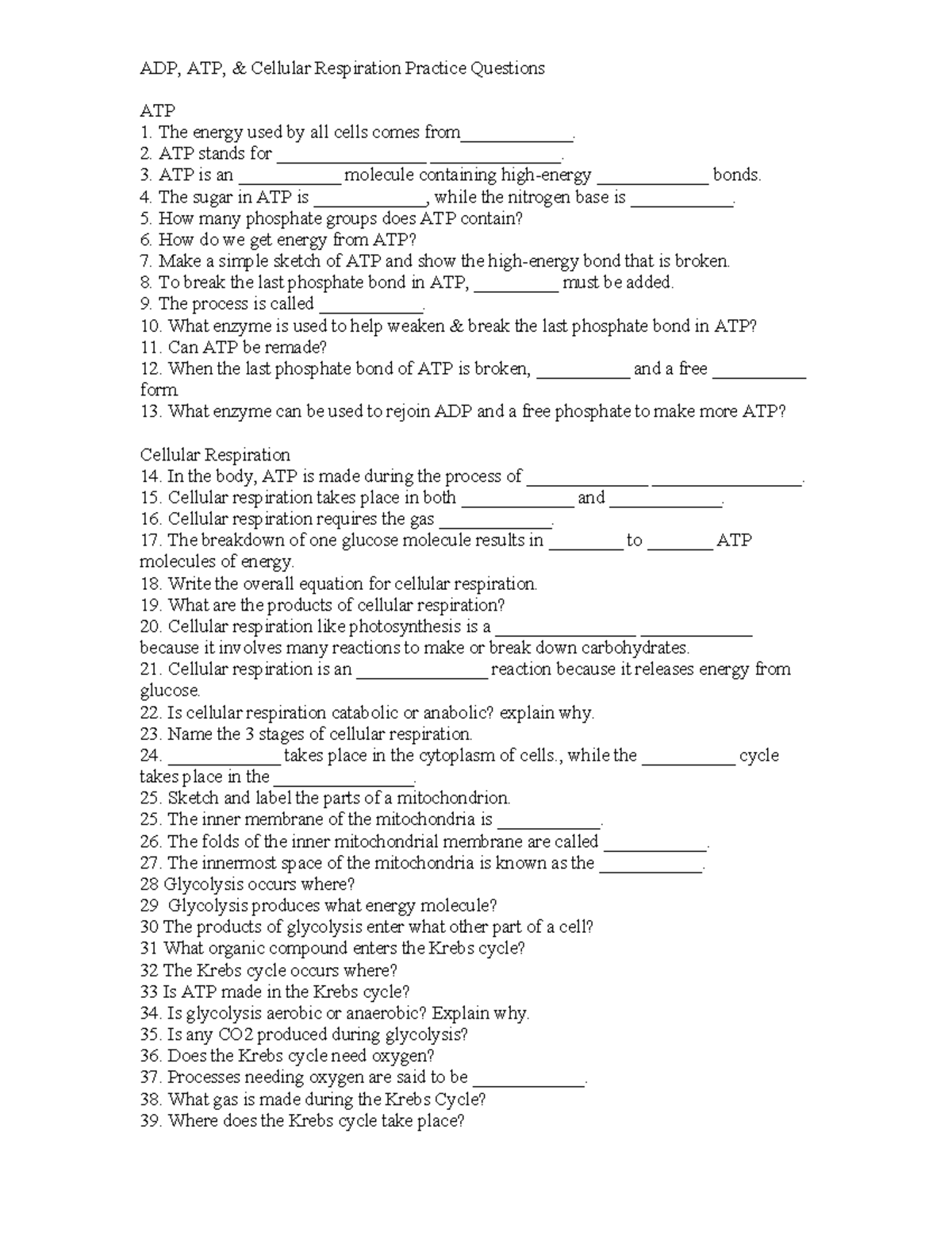 C. ATP and Respiration Practice Qs - ADP, ATP, & Cellular Respiration ...