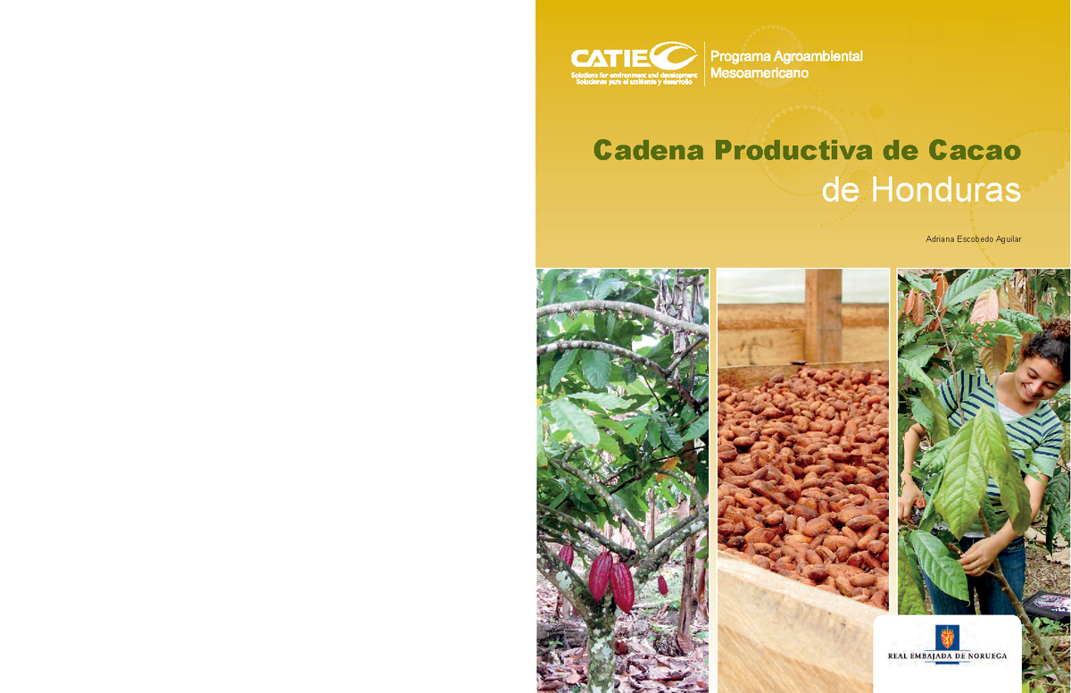 Cadena-Valor-Honduras-Completo 1 - Cadena Productiva de Cacao de ...