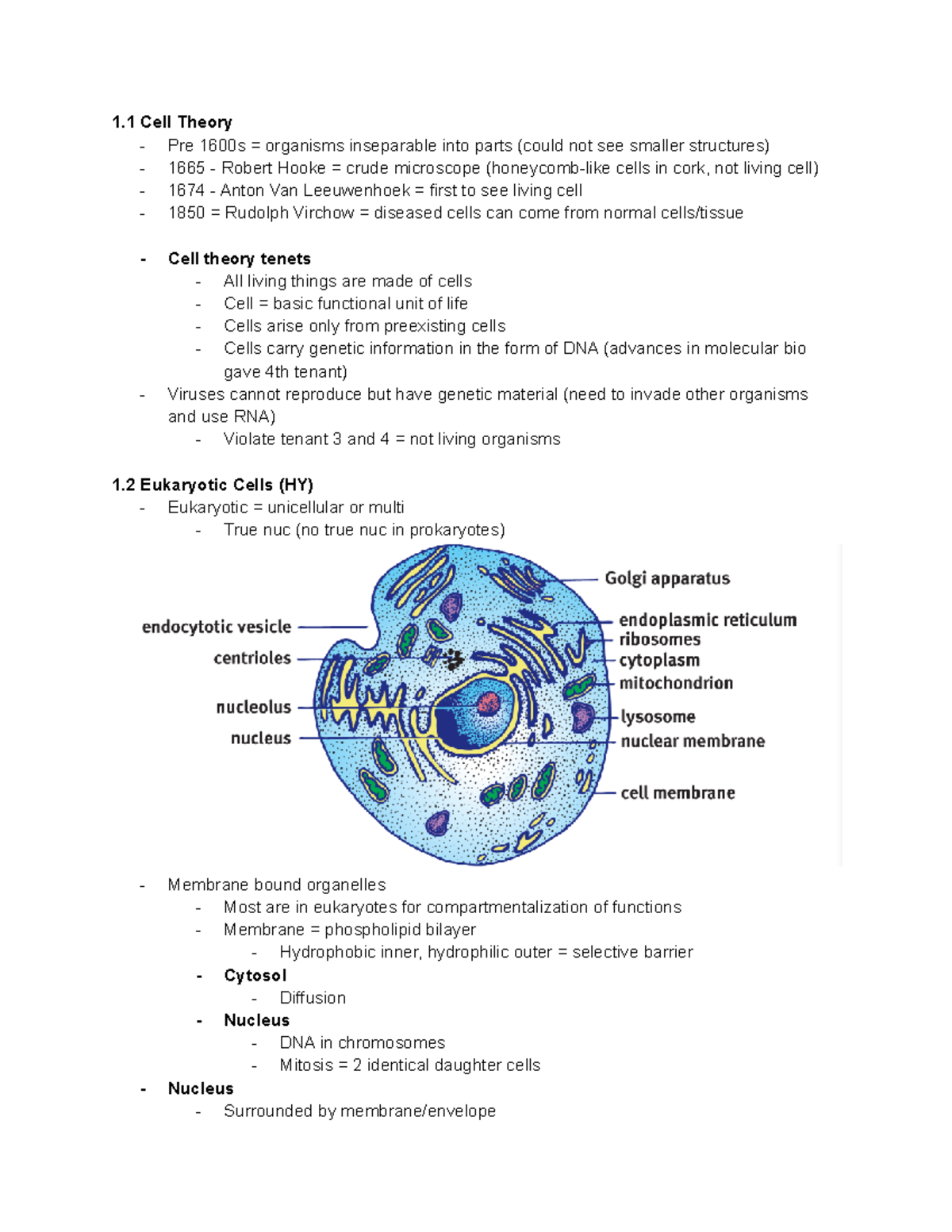 Chapter 1 The Cell - The Cell - 1 Cell Theory - Pre 1600s = organisms ...