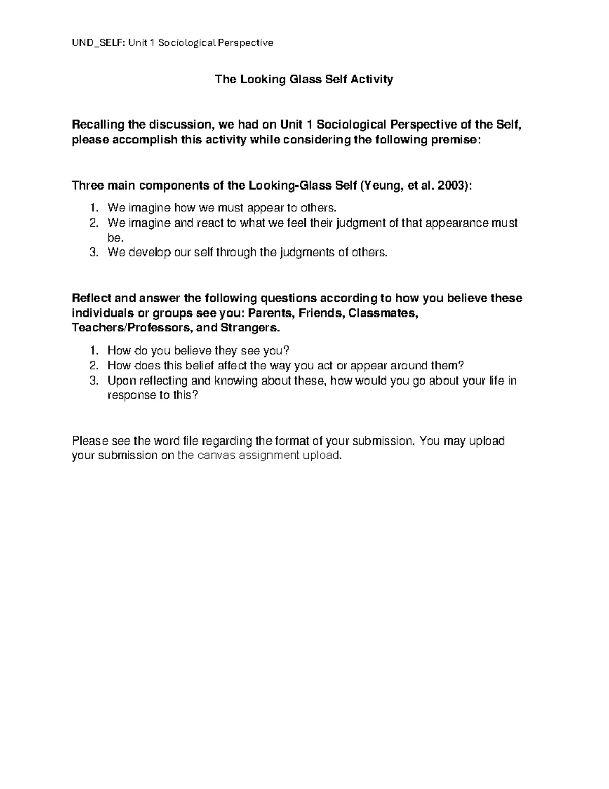 Looking Glass Activity - UND_SELF: Unit 1 Sociological Perspective The ...