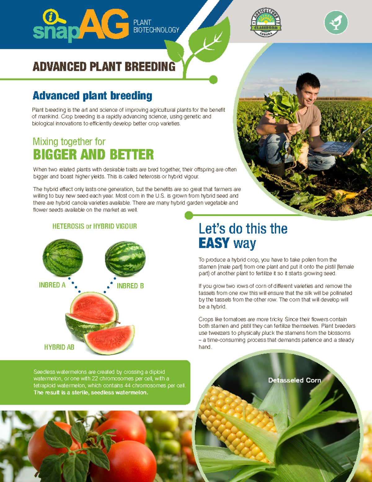 Advanced Plant Breeding ENG - ADVANCED PLANT BREEDING aitc-canada ...