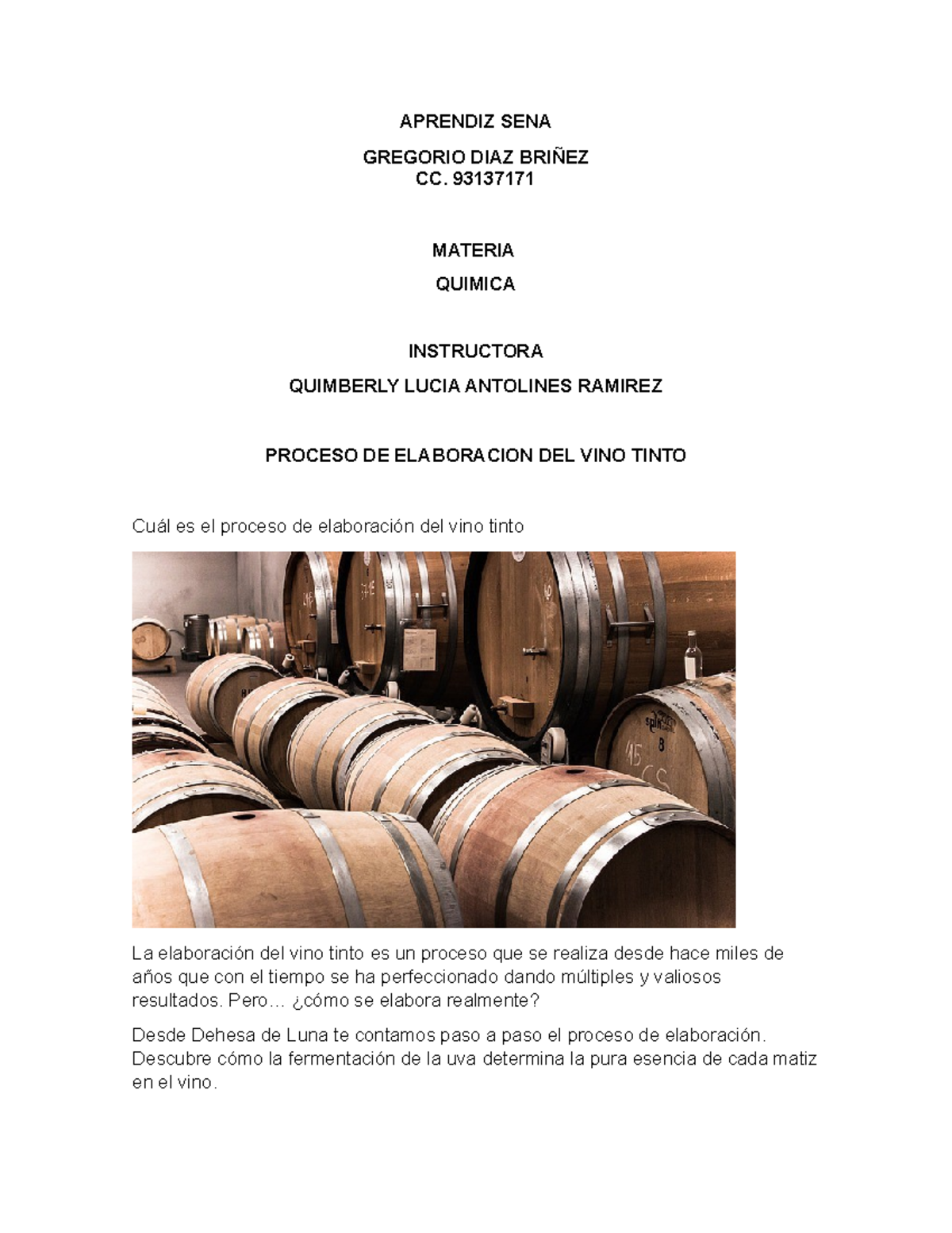 Proceso DE Elaboracion DEL VINO Tinto - APRENDIZ SENA GREGORIO DIAZ ...