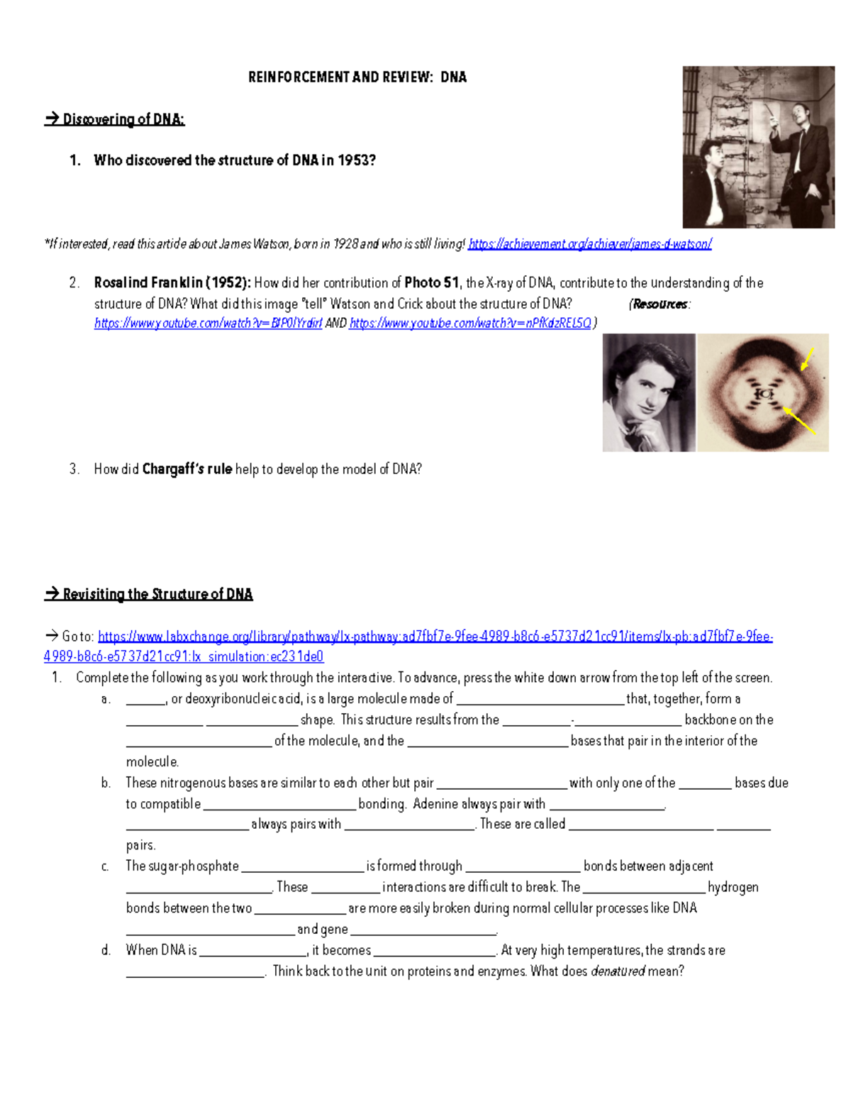 Study Guide DNA - REINFORCEMENT AND REVIEW: DNA à Discovering of DNA: 1 ...