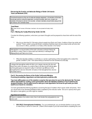 Lab 7 Online Lost in Timbuktu TLN - Lost in Timbuktu: A Case Study ...