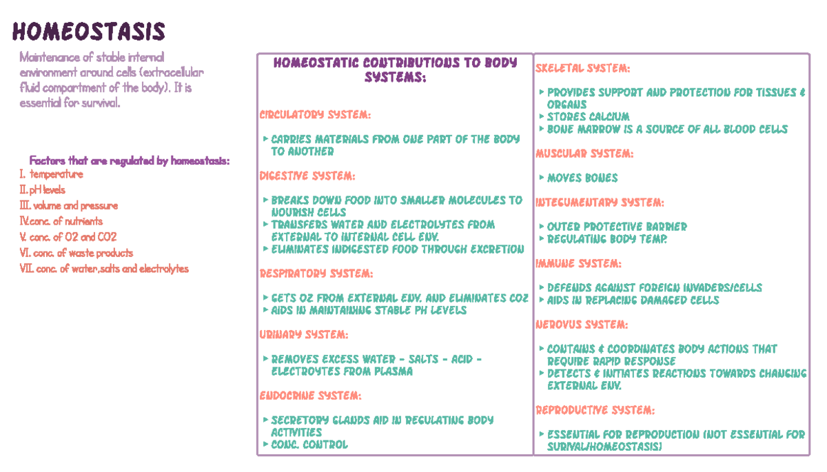 Homeostatic controls in body systems - Homeost asis Maintenance of ...