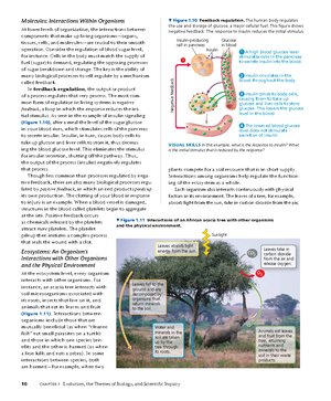 DNA+Structure+and+Replication+handout 2 - Studocu