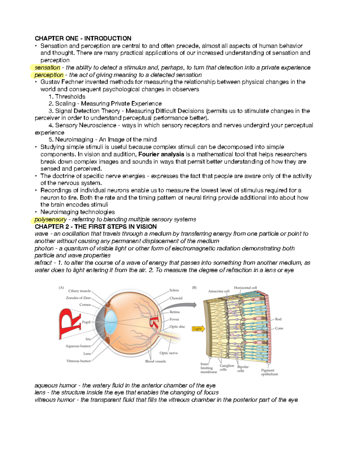 Introduction to Sensation and Perception in Human Behavior - Studocu