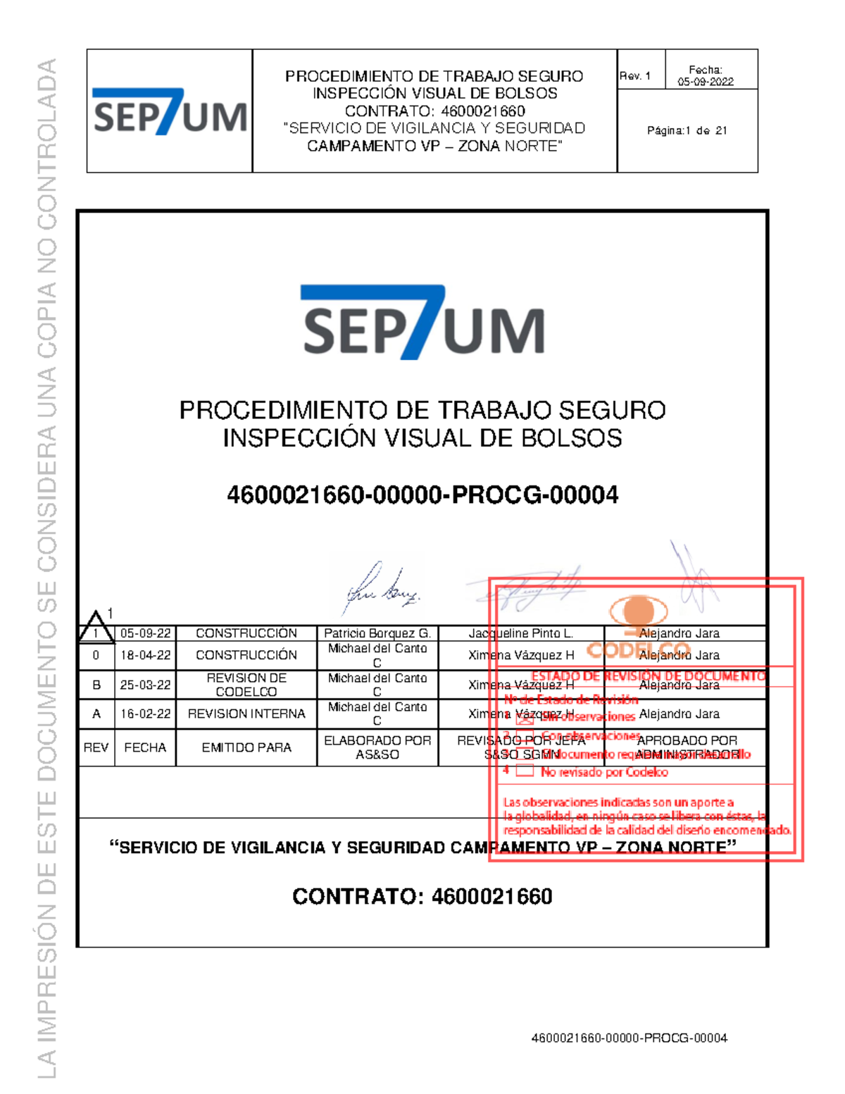 PTS Inspección visual de bolsos (copia no controlada) - PROCEDIMIENTO ...