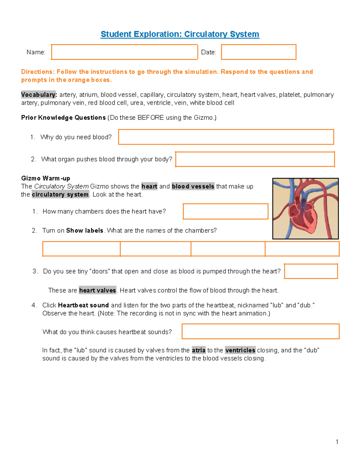 Circulatory System Gizmo - Student Exploration: Circulatory System Name ...