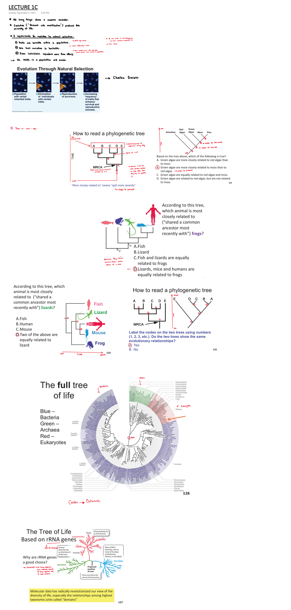 Lecture 1C - 171 - LECTURE 1C Sunday, September 5, 2021 6:25 PM - Studocu