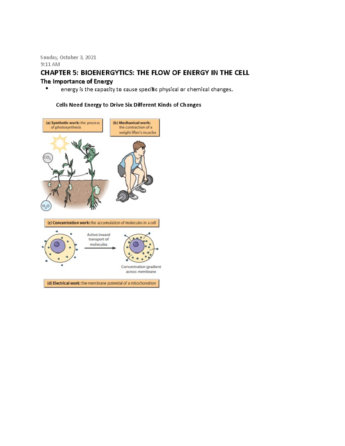 CELL AND Molecular BIO Reviewer - Sunday, October 3, 2021 9:11 AM ...