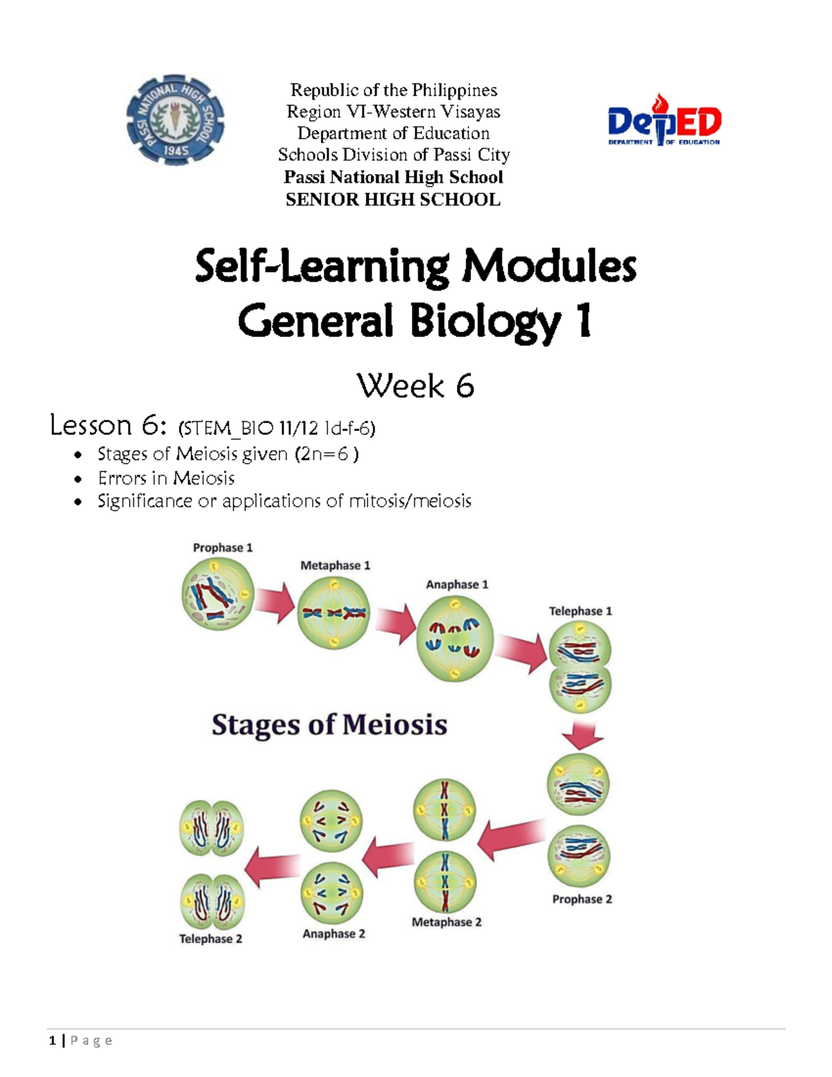 WEEK 6 Meiosis and application - Self-Learning Modules General Biology ...