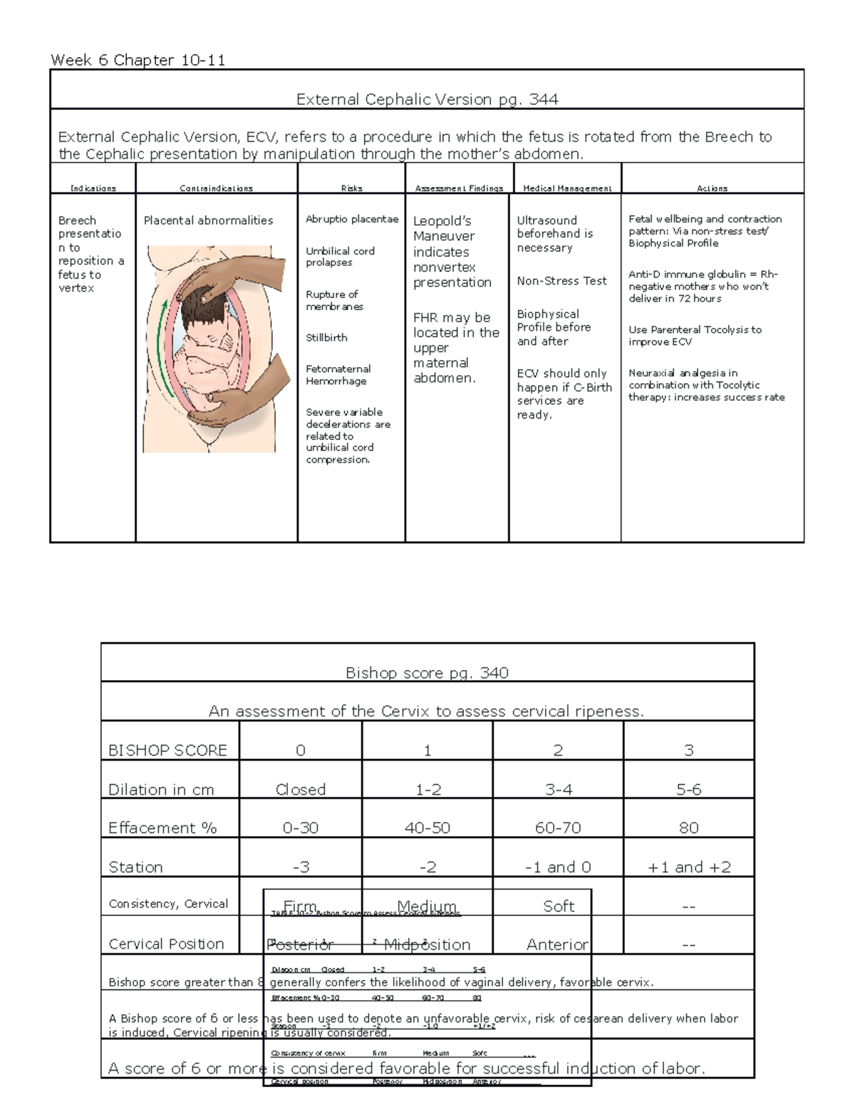 Chapter 10 AND 11 Durham edition: 4th - External Cephalic Version pg ...