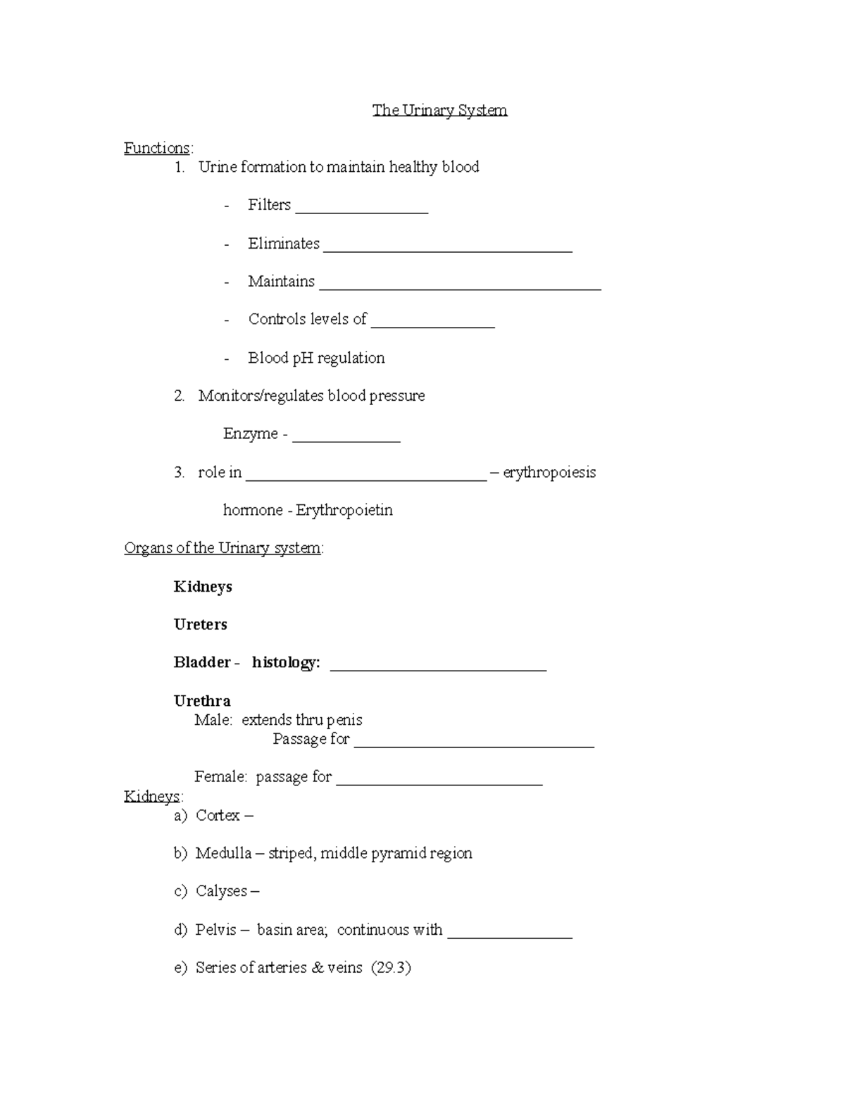 #10 - urine student outline - The Urinary System Functions: Urine ...