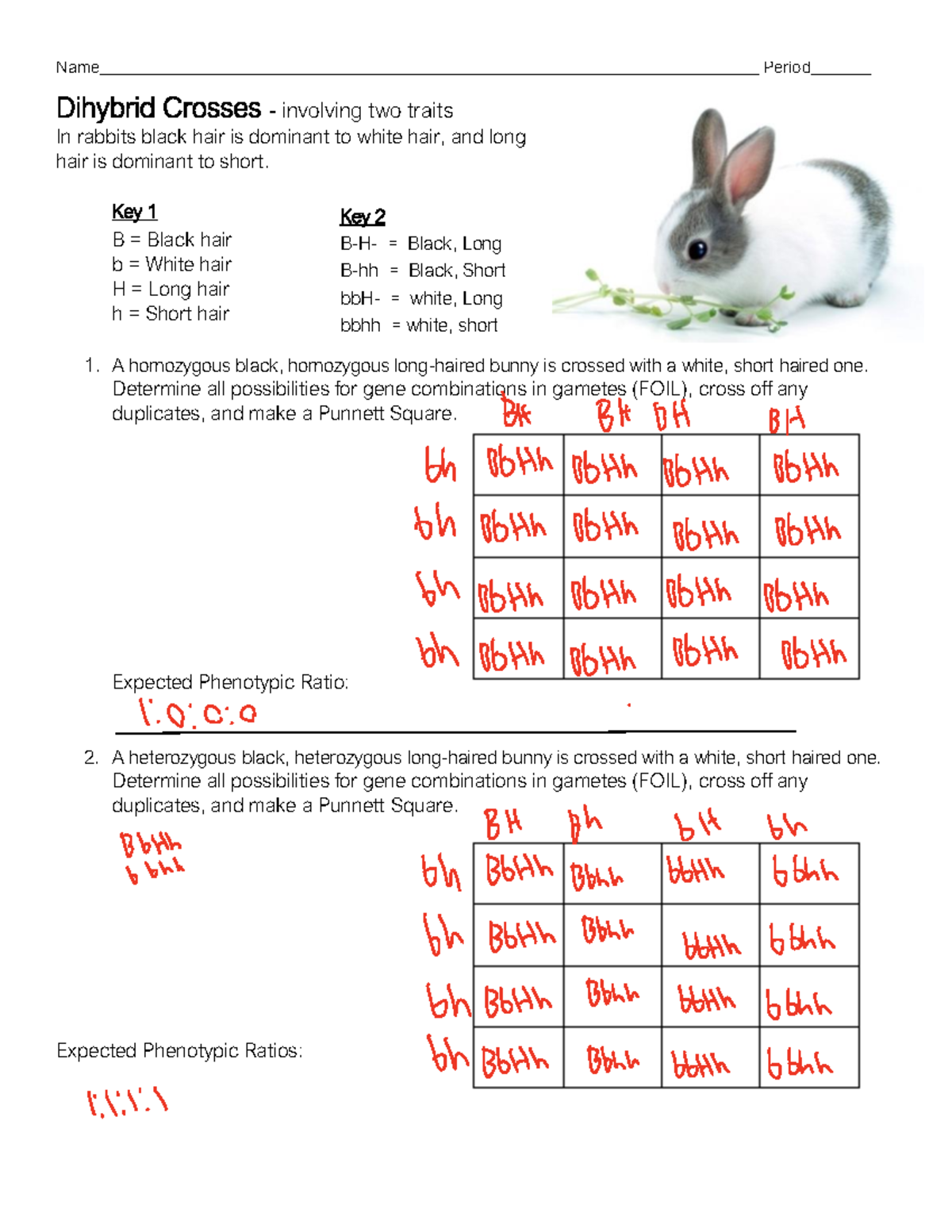 Dihybrid Student Practice - - Studocu