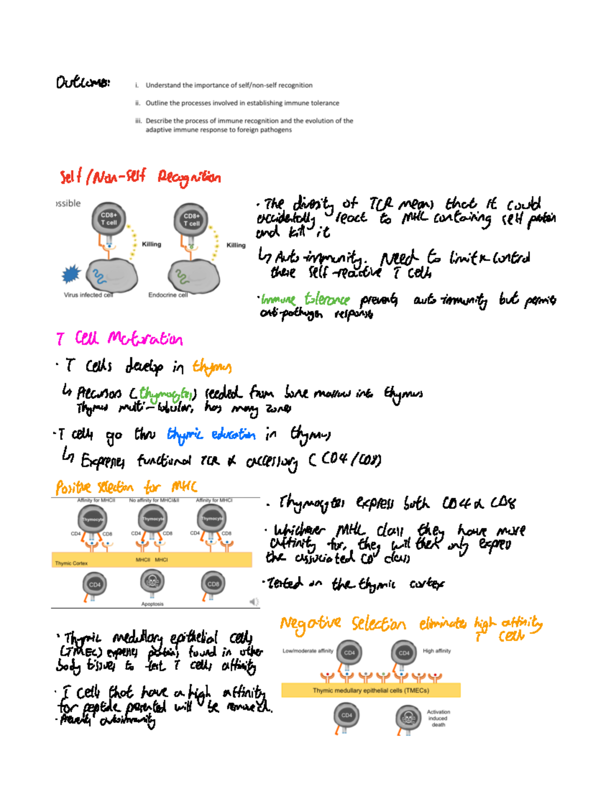 Immune tolerance and immune recognition - Outcomes Self Non self ...