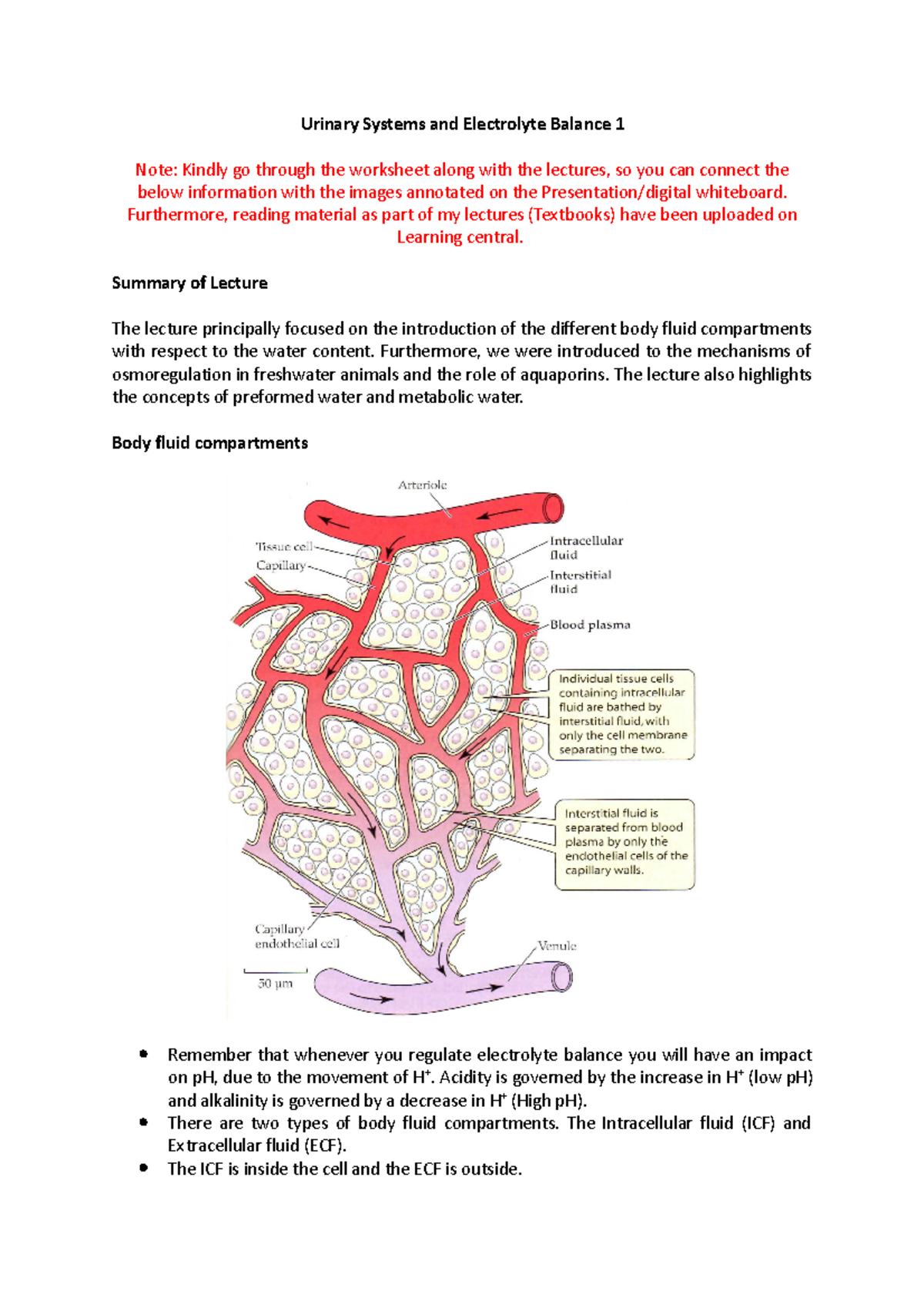 Urinary Systems and Electrolyte Balance 1-2 Lecture notes - Urinary ...