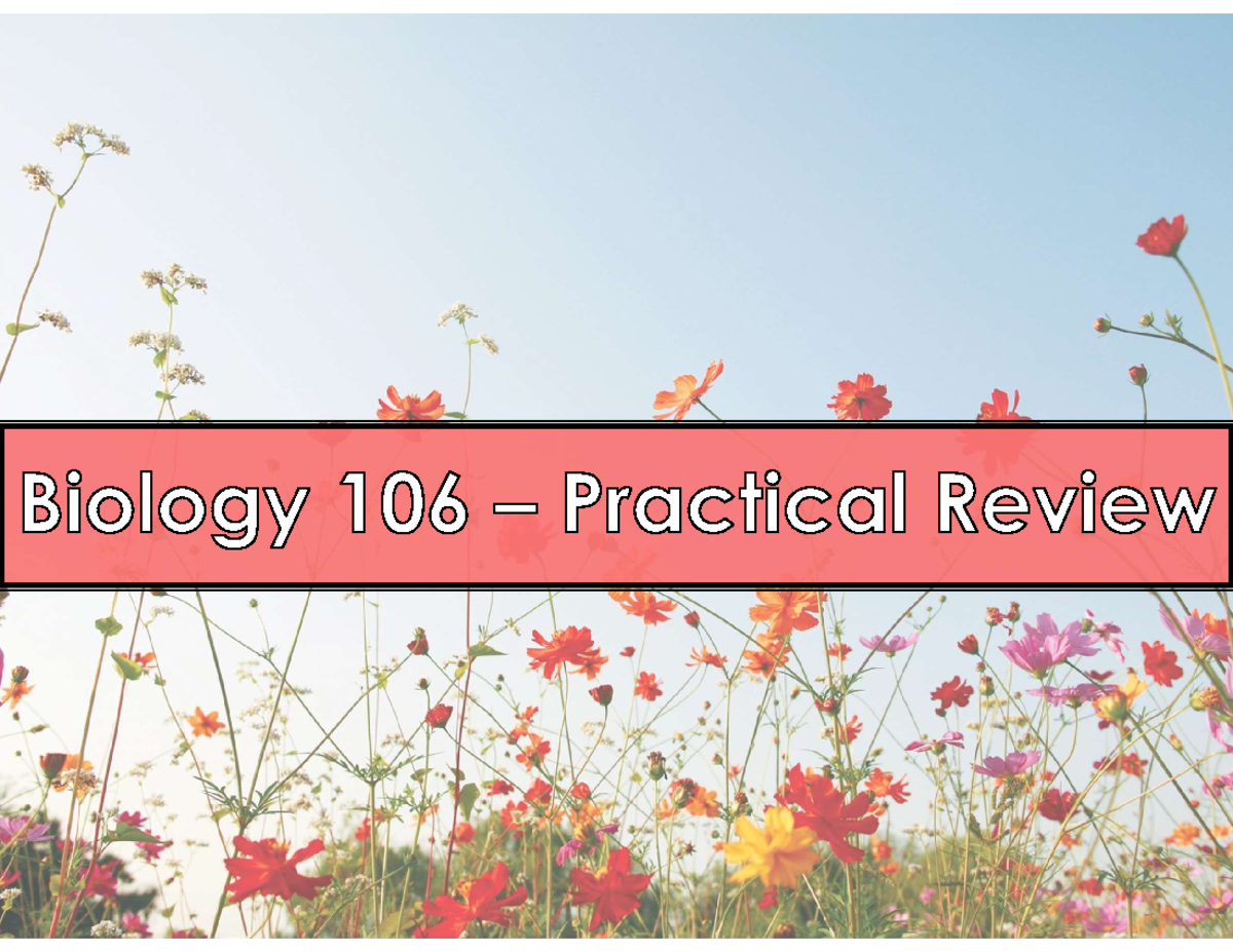 Bio106 Lab Practical Review Part1 - BIO 104 - Classification – phylum ...