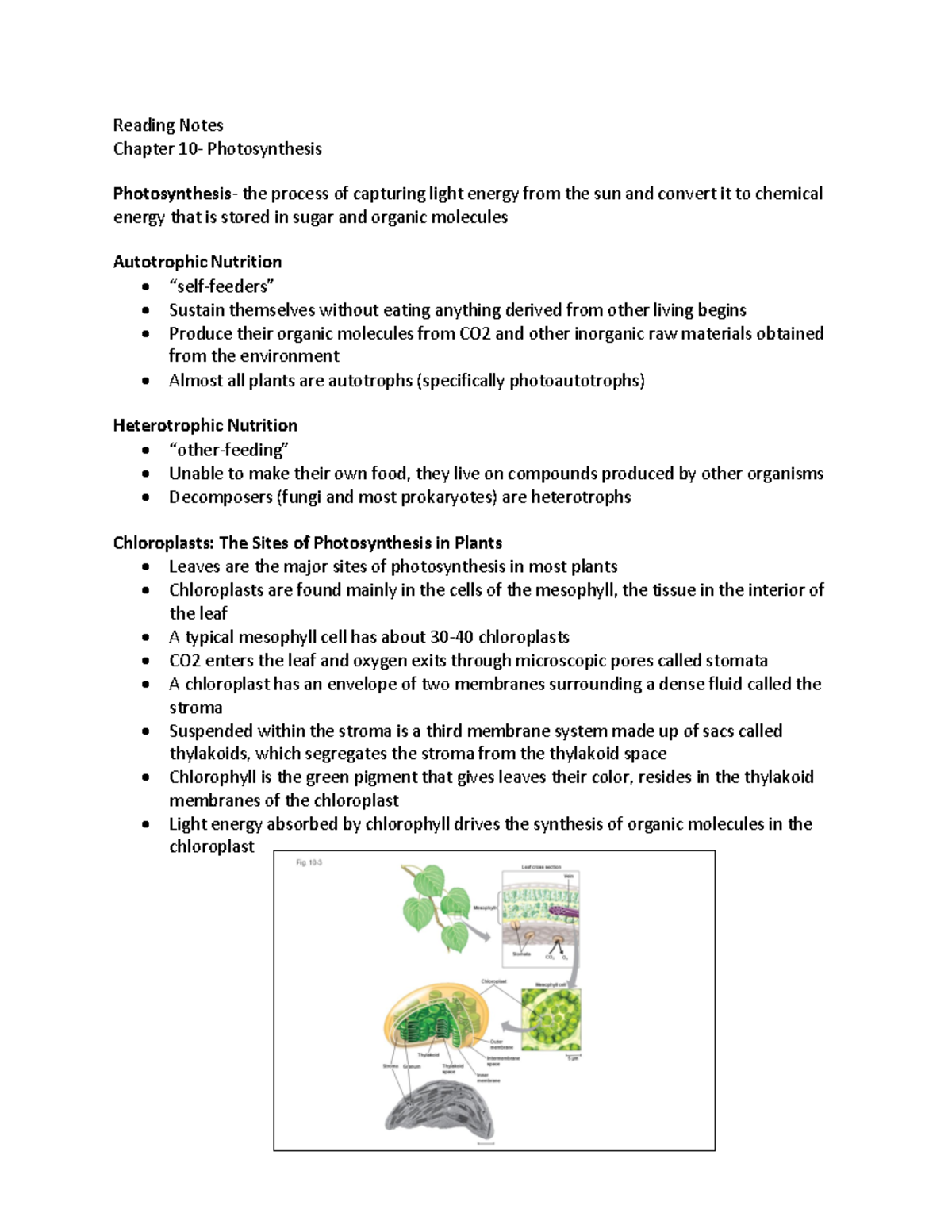 Reading Notes- Photosynthesis PDF - Reading Notes Chapter 10 ...