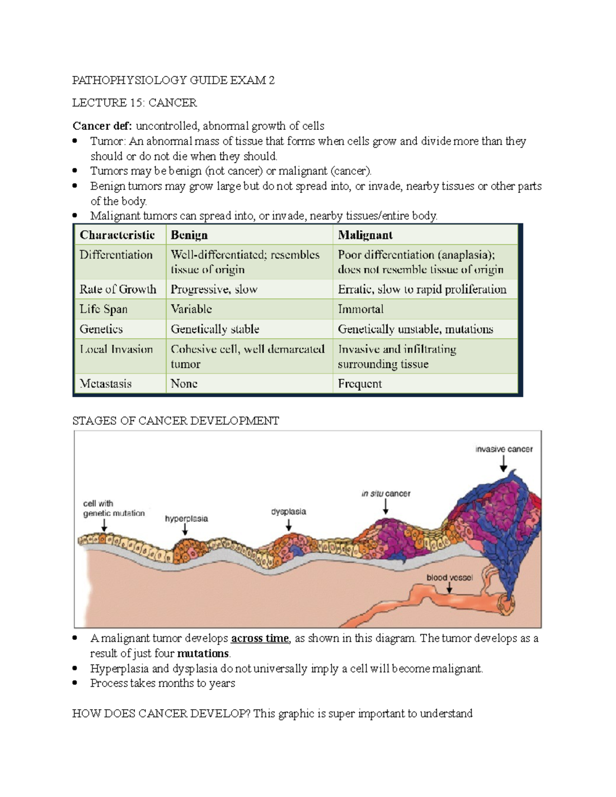 Pathophysiology Guide EXAM 2 - PATHOPHYSIOLOGY GUIDE EXAM 2 LECTURE 15 ...