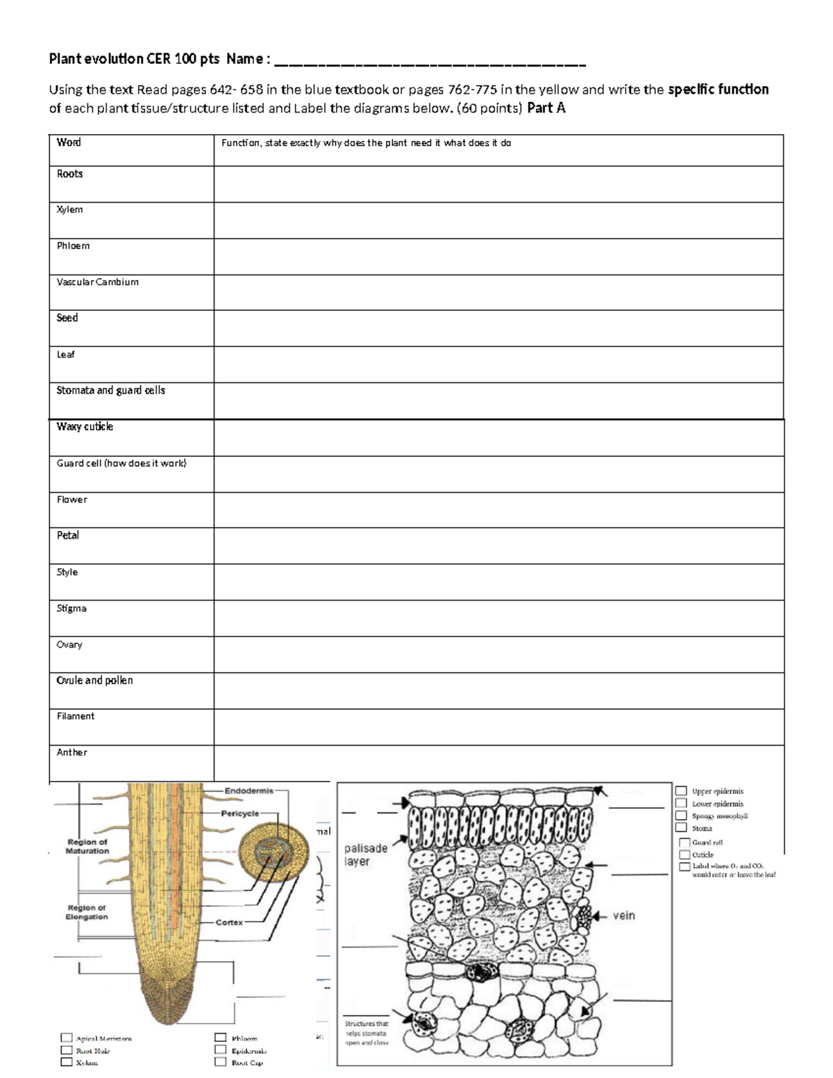 CER plants - A reading activity to fist identify the function of ...