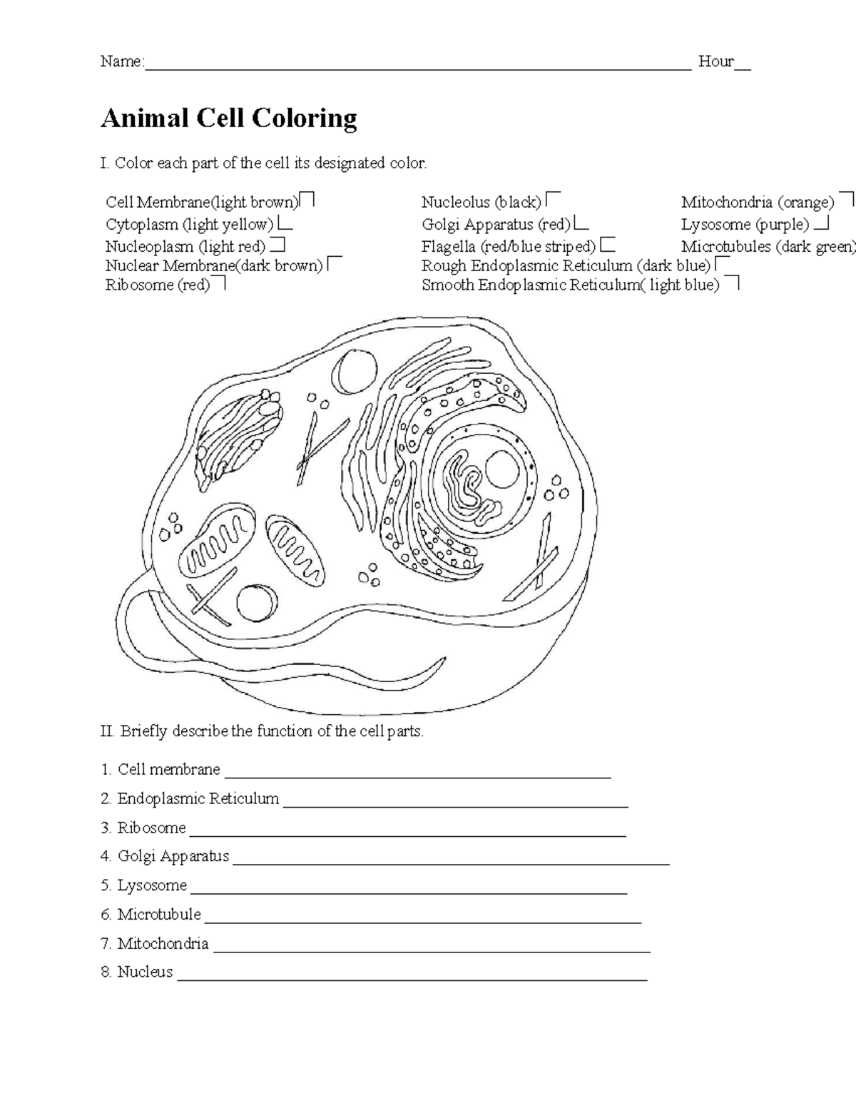 Animal Cell Coloring - Name