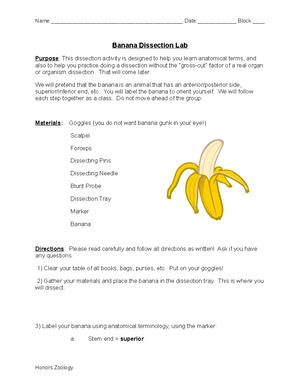 Banana Dissection Lab - Banana Dissection Lab Purpose: This dissection ...