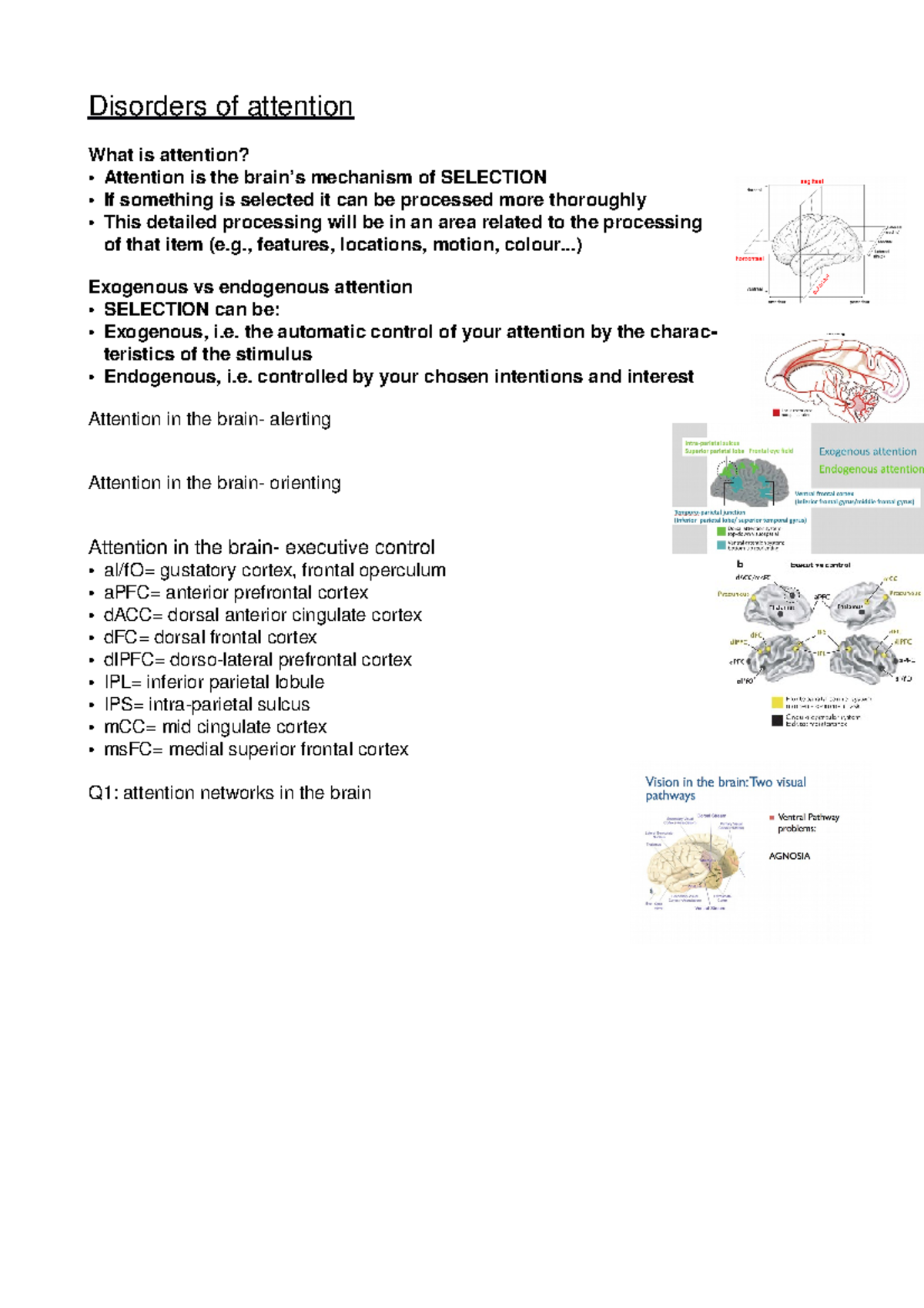 Disorders of Attention - Disorders of attention What is attention ...