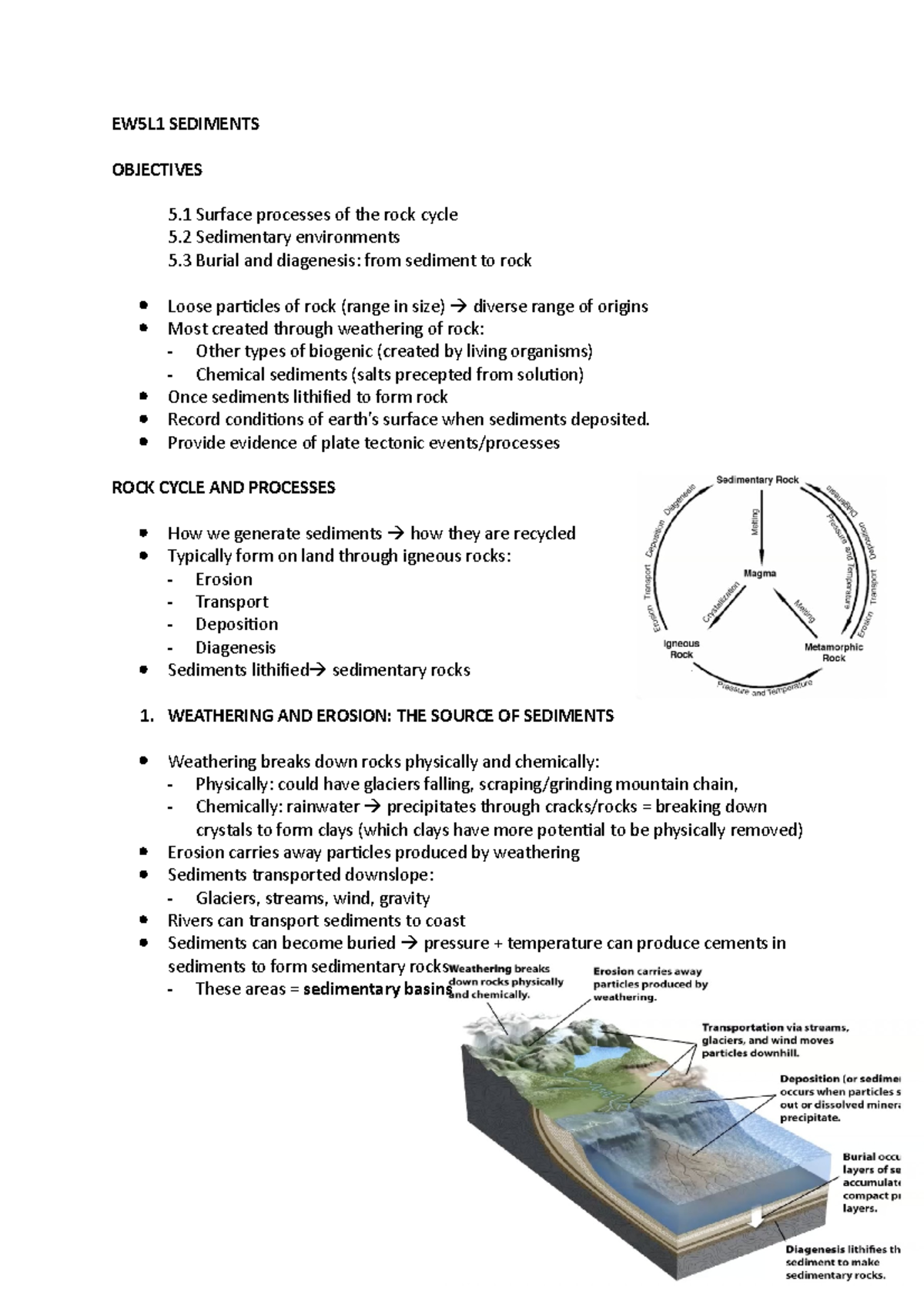 EW5L1 Sediments - 5th week lecture notes - Sedimentary rocks - EW5L1 ...