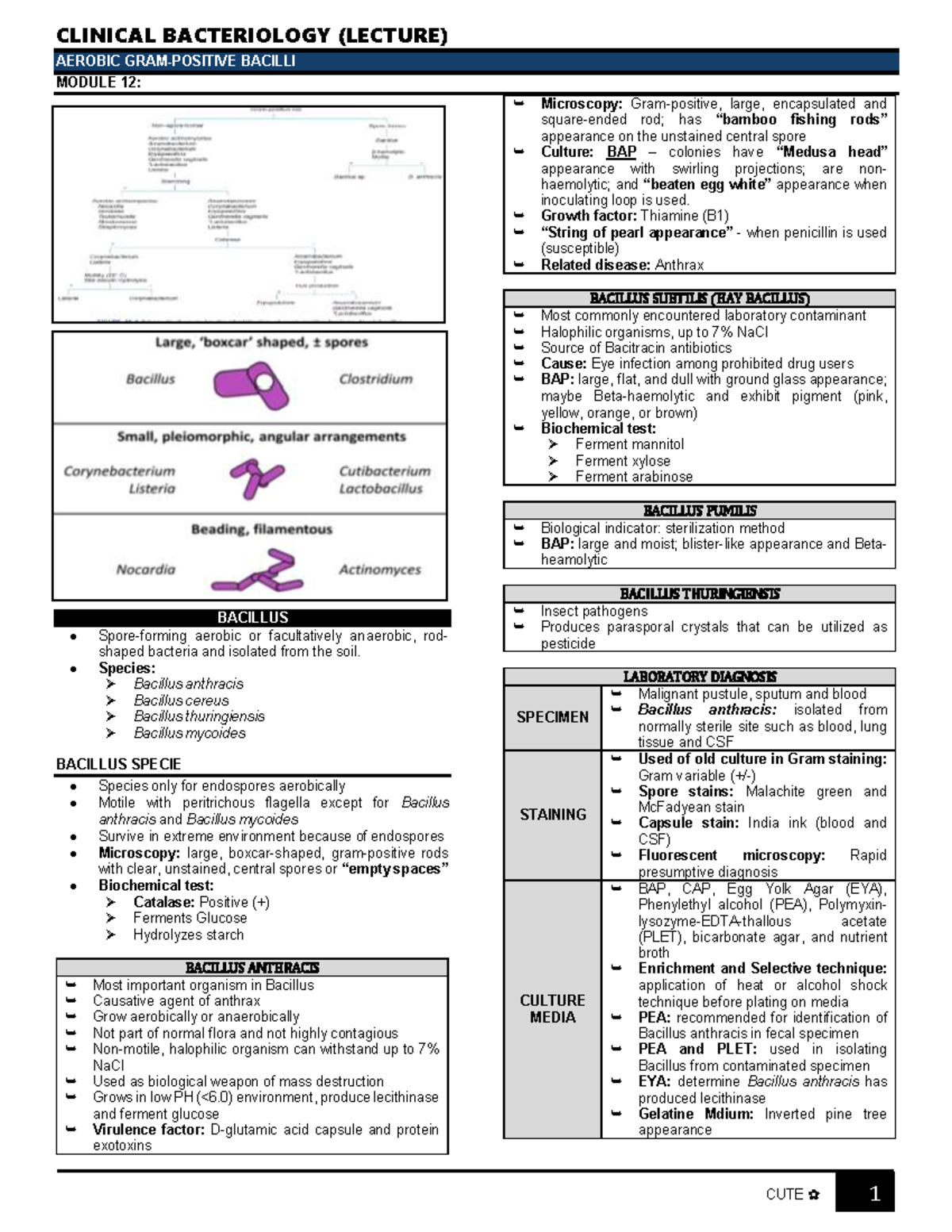 Final Topics Bacte LEC - trans - CLINICAL BACTERIOLOGY (LECTURE ...