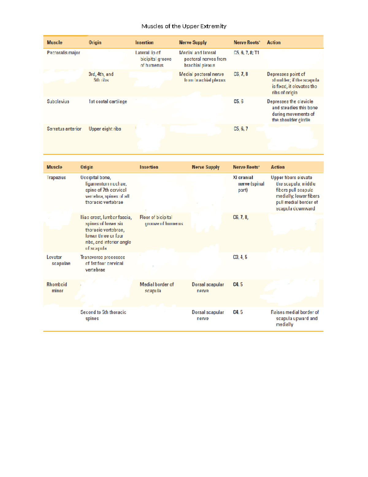 Muscles of the Upper Extremity - Studocu