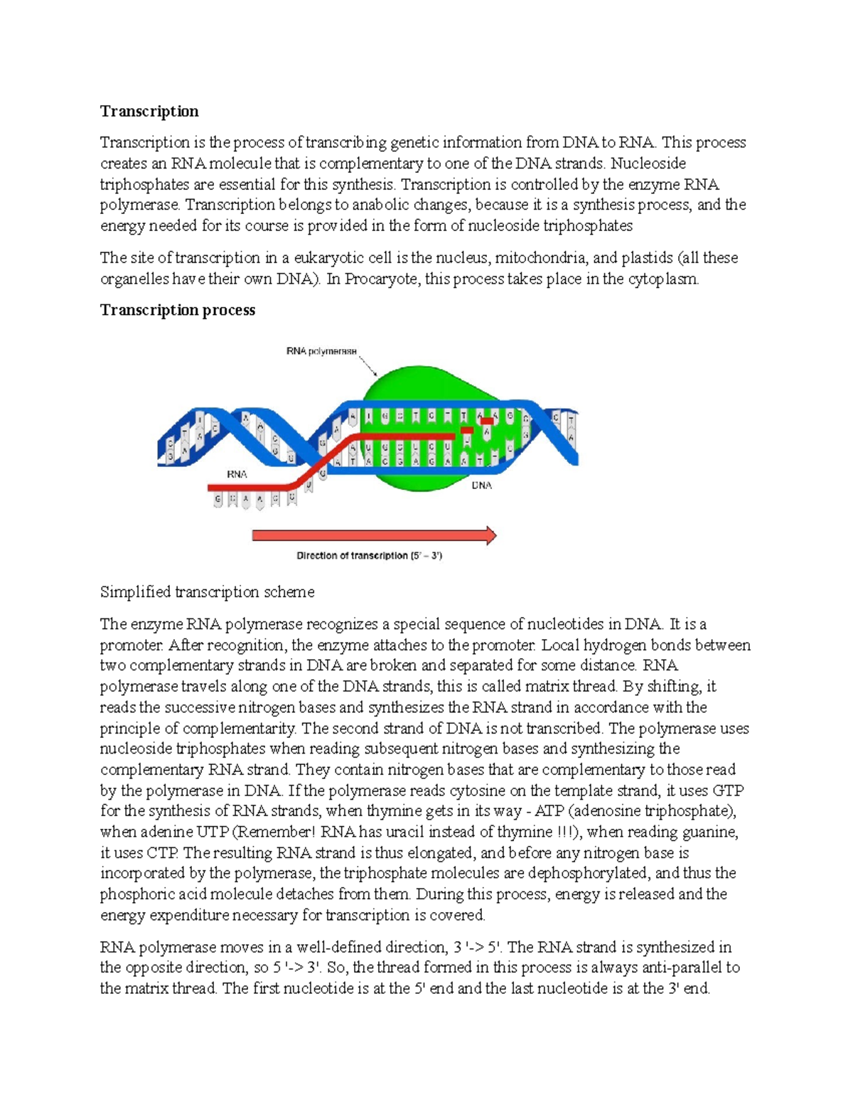 Transcription - Lecture notes 3 - Transcription Transcription is the ...