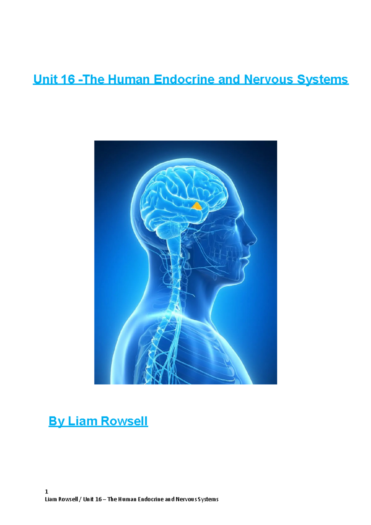 Unit 16 - Illustrated Report - 1 Unit 16 -The Human Endocrine and ...