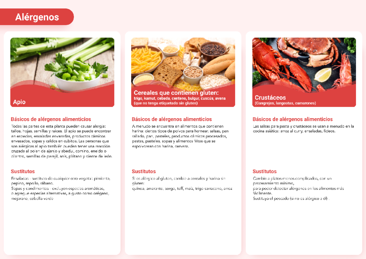 Ejercicios y recetas - It’s a booklet of exercises and food samples ...