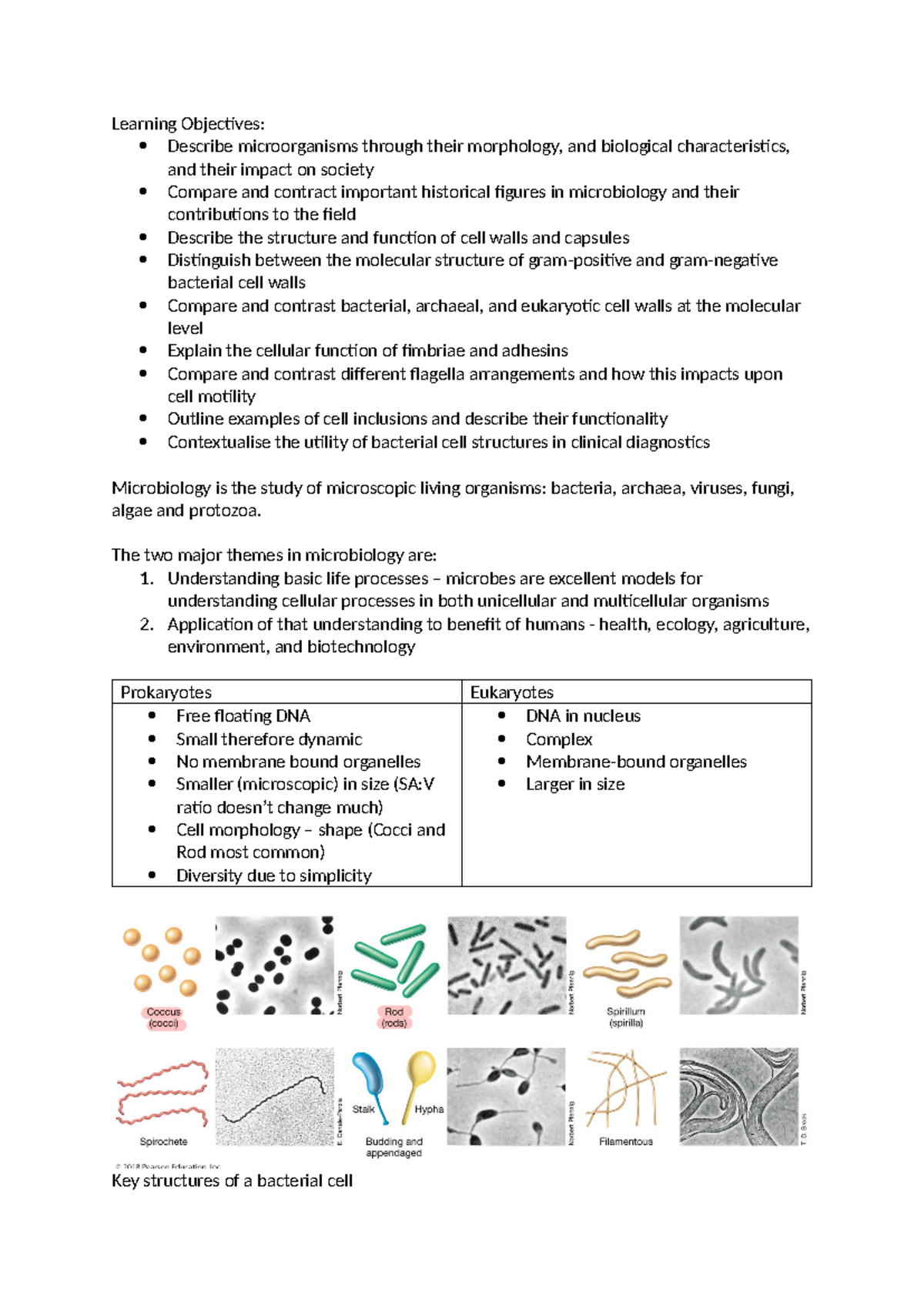 Module 1 - Microorganisms - Learning Objectives: Describe ...