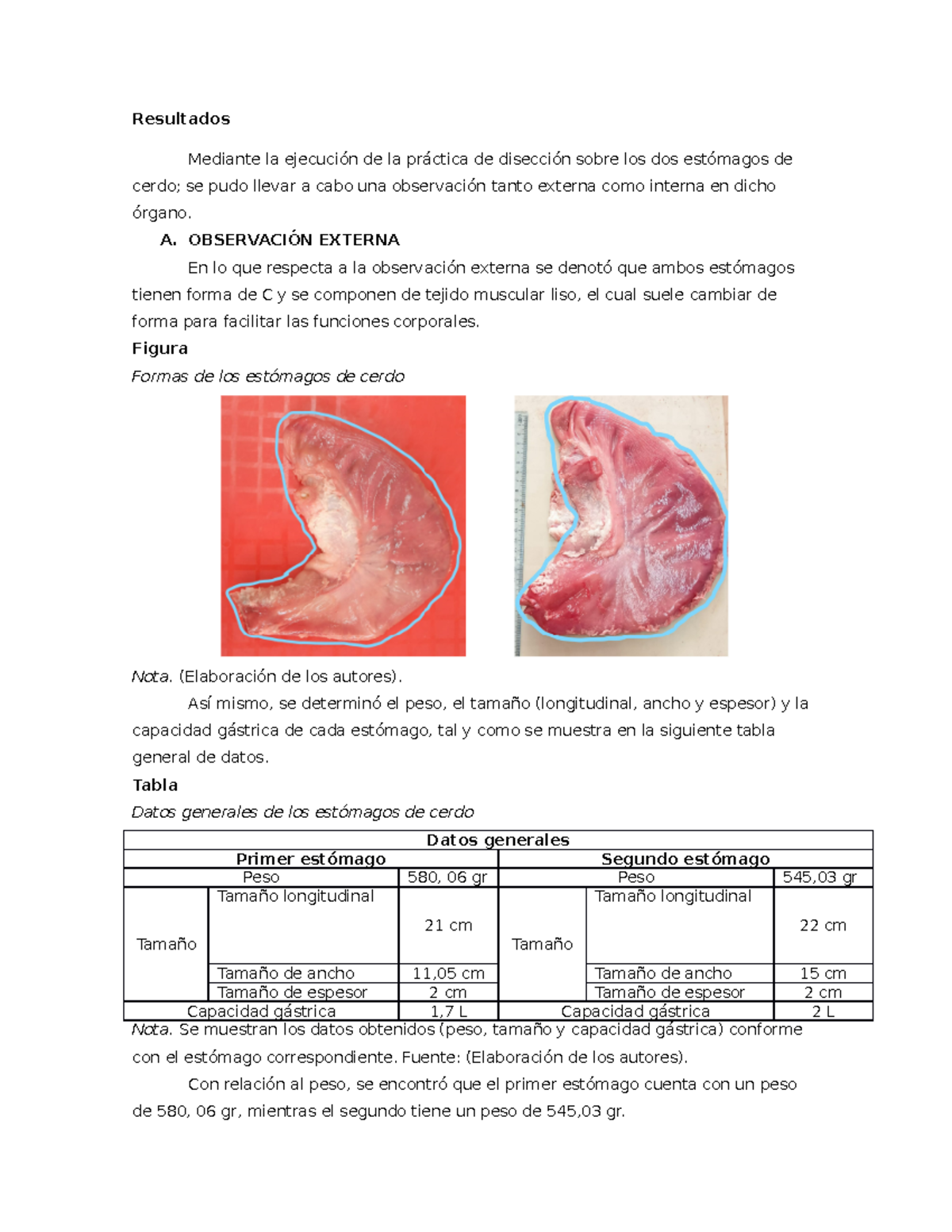 Resultados - Disección estómago de cerdos - Resultados Mediante la ...