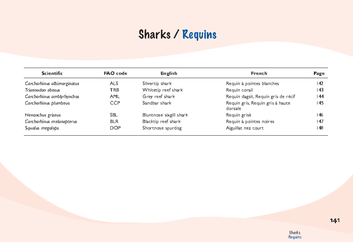 Chapman 08 ID Deep Bottom Fish 08 - Sharks / Requins 114411 Sharks ...