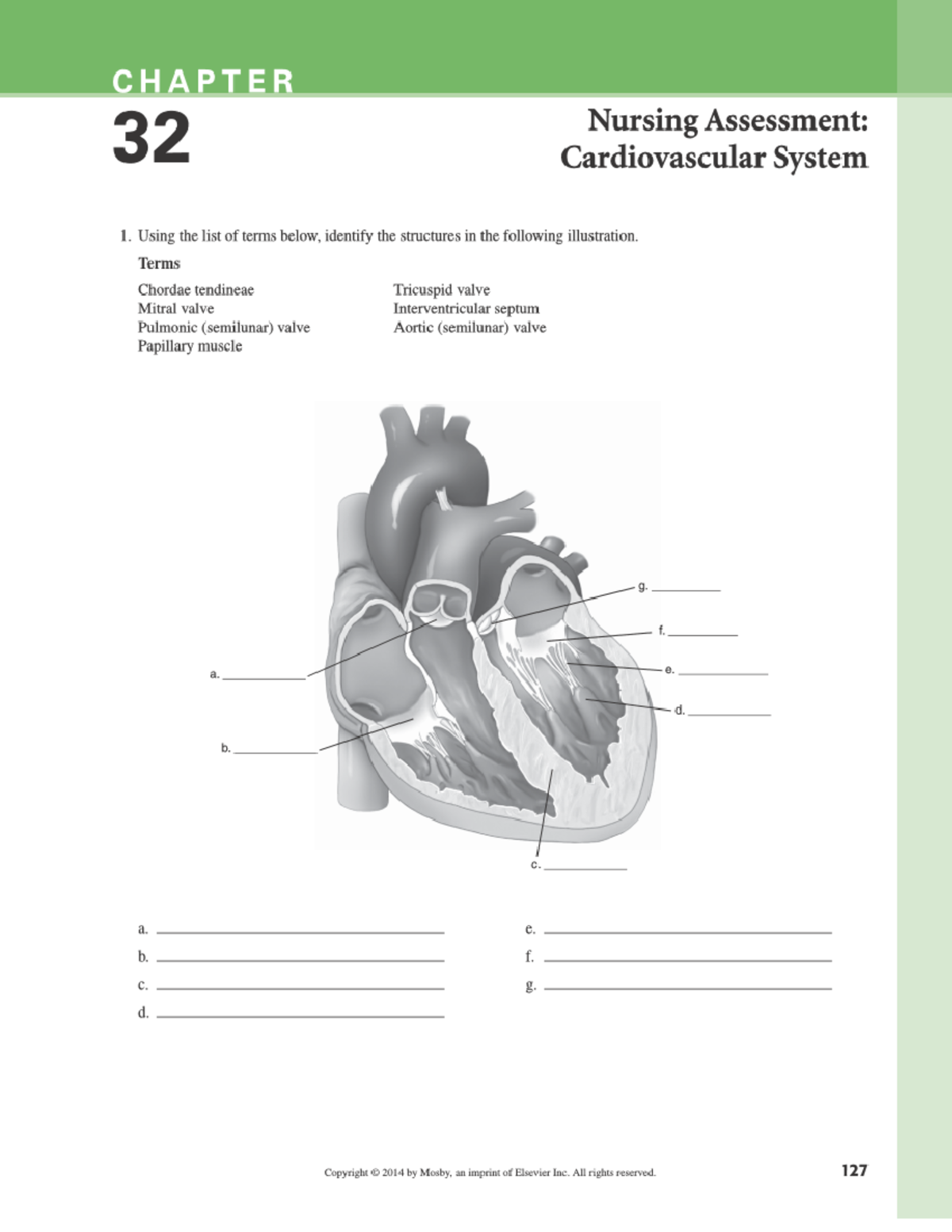 Cardio Review FOR Prelims - Nursing - CU - Studocu