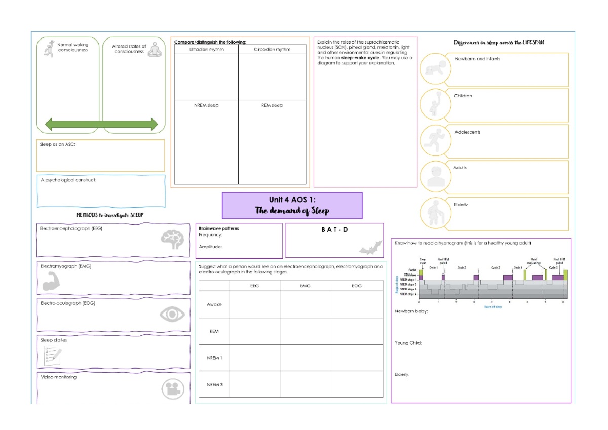 U4 AOS 1 poster - the following: Explain the roles of the ...