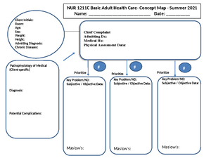 Nursing Care Plan BAH Template Fall 2023 - Nursing Care Plan & Patient ...