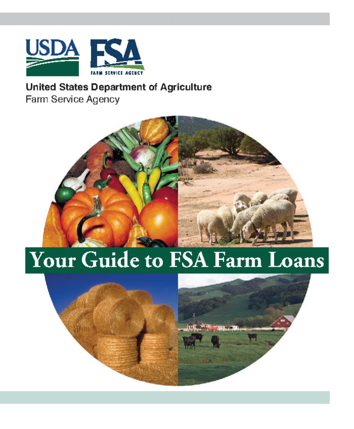 FSA borrowing guidelines - United States Department of Agriculture Farm ...