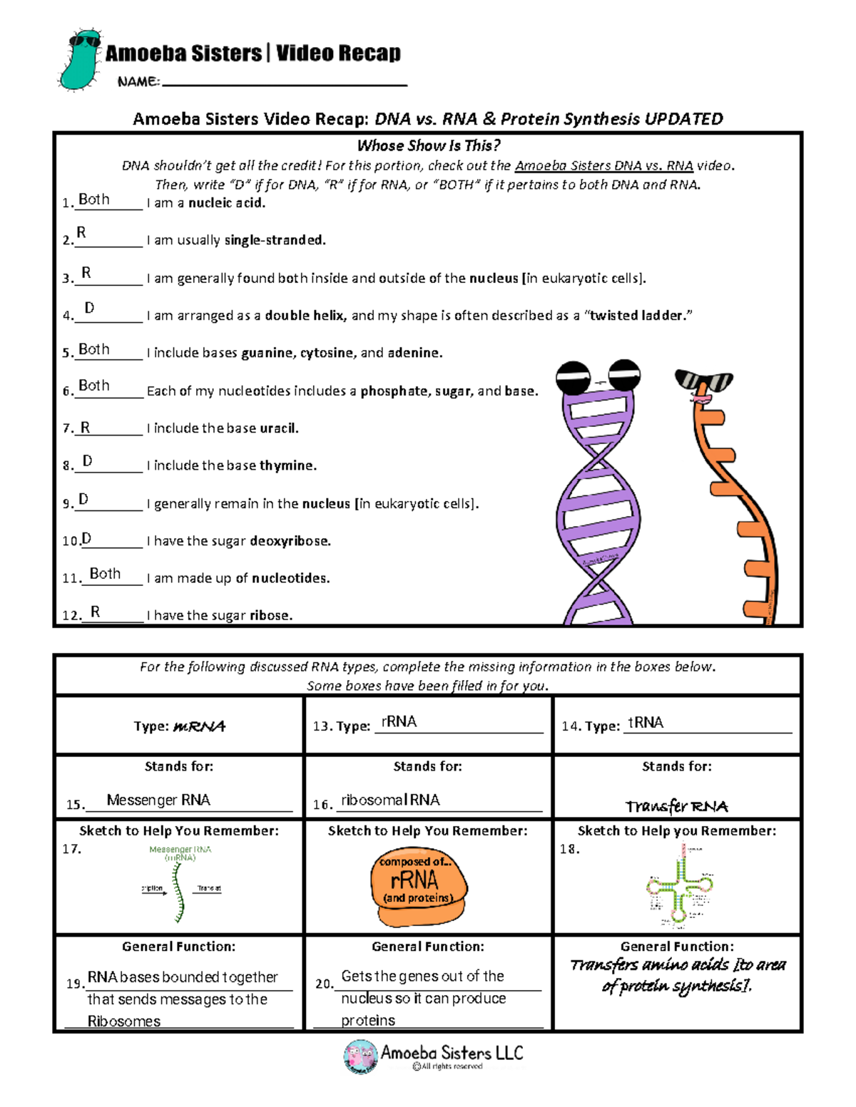 Kami Export - Yvette Owusuansah - dna vs rna and protein synthesis ...