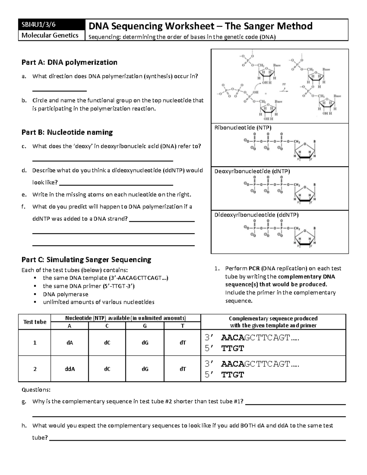 Dna Sequencing Ws Notes Warning Tt Undefined Function 32 Warning Tt Undefined Function