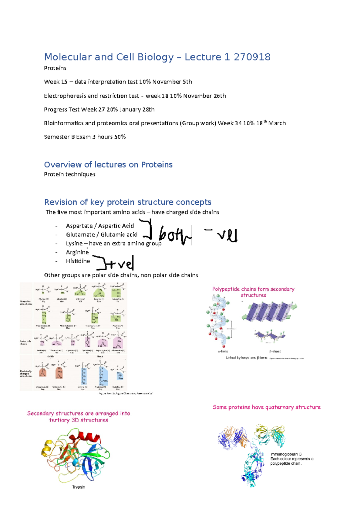 Lecture 1 - Protein structure and Electrophoresis - Molecular and Cell ...