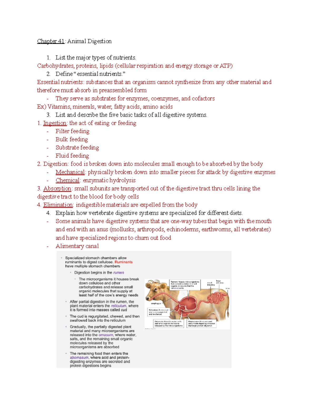 Bio 1110 Exam 2 - Chapter 41: Animal Digestion List the major types of ...